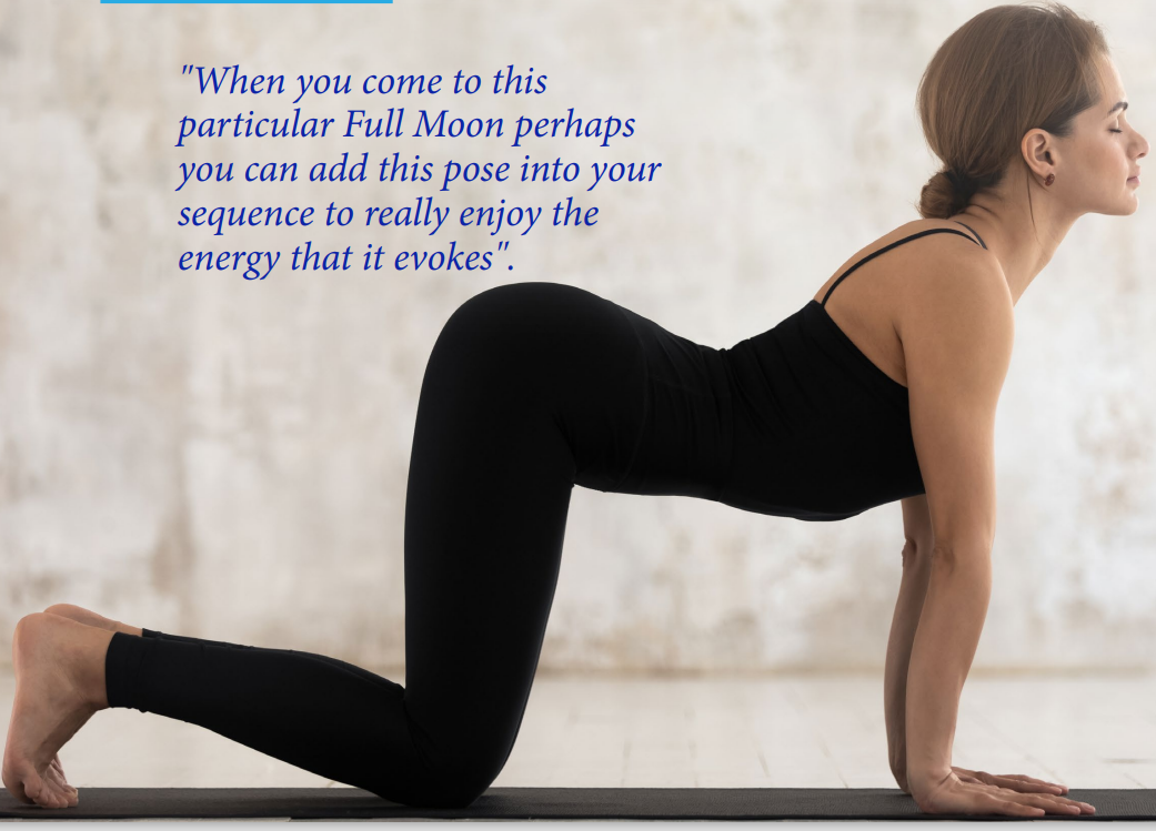 FULL MOON POSES - Yoga Magazine