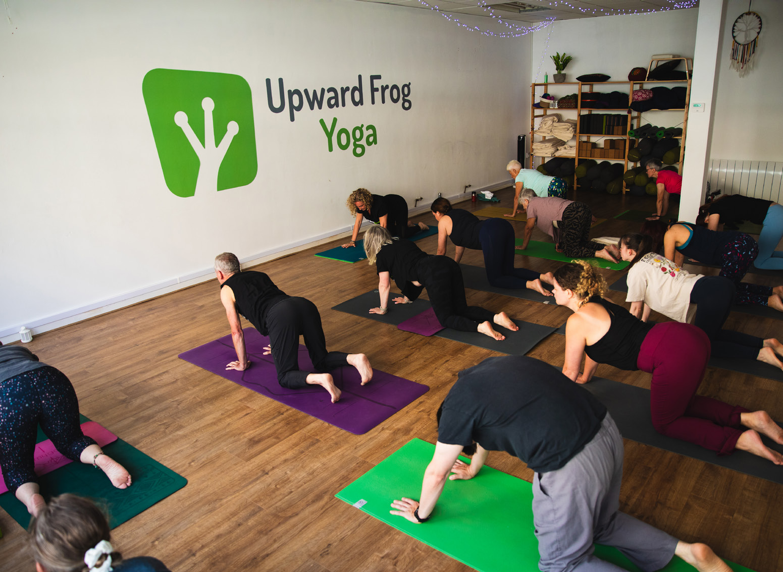 Upward Frog - Yoga Magazine